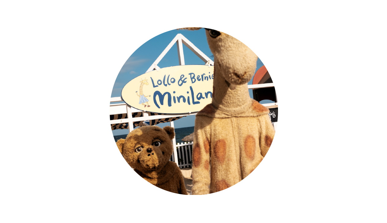 Lollo & Bernies Tidslinje